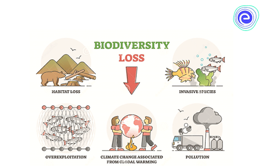 Causes for Biodiversity Loss - Environment Notes