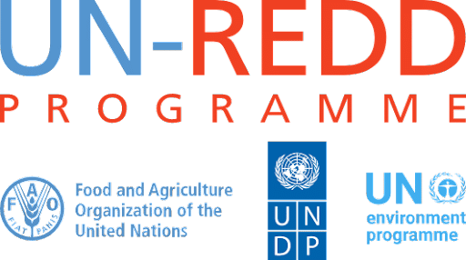 UN-REDD Programme - Environment Notes