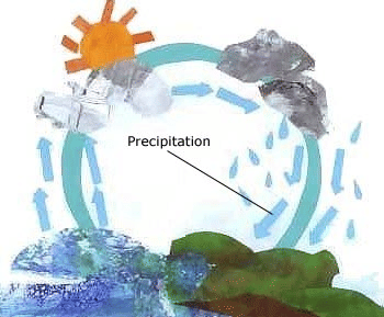 Forms of Precipitation (Snow, Drizzle, Hail, Small Hail, Sleet ...