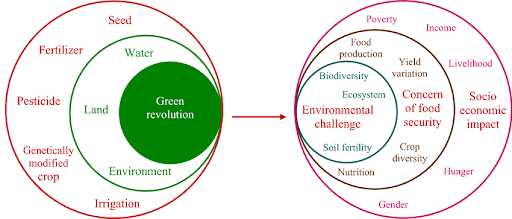 Impact of Green Revolution - Agriculture Notes