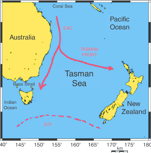 East Australian Current (EAC) - Oceanic Currents - Geography Notes