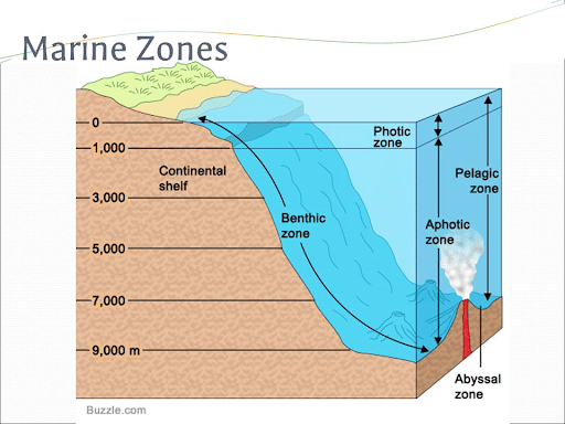 Biome - Environment Notes