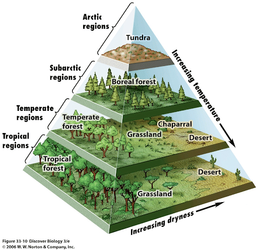 Levels of Organisations in Ecology - Environment Notes