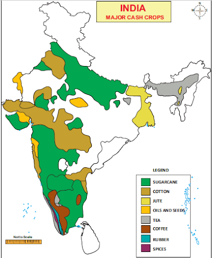 Cash Crops - Agriculture Notes