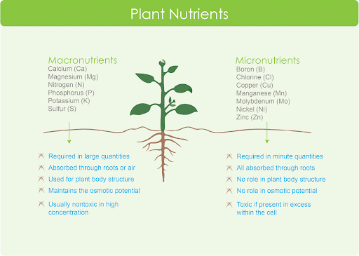 Elements Required in Plant Growth - Agriculture Notes