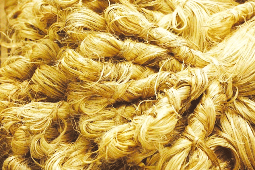 Golden Fiber Revolution - Agriculture Notes