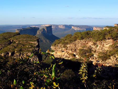 Plateau and its Types - Geography Notes