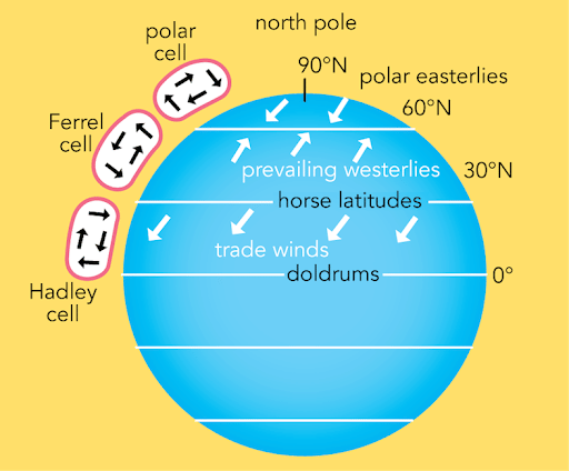 Polar Easterlies - Geography Notes