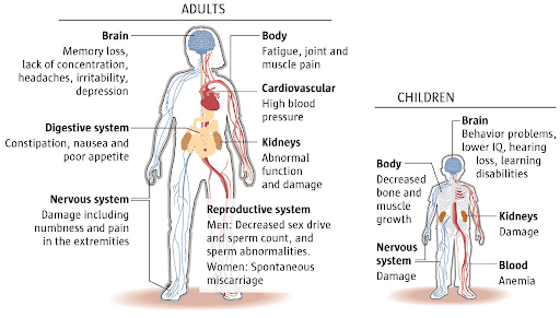 Lead - Toxicology Effects - Environment Notes