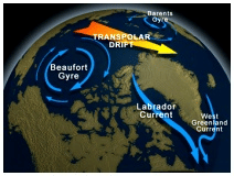 Movement of Ocean Water - Geography notes