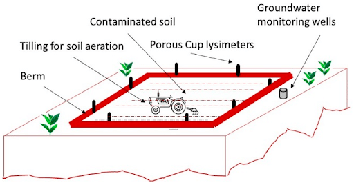 Bioremediation Strategies - Environment Notes