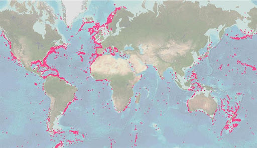 Cold Water Corals - Environment Notes