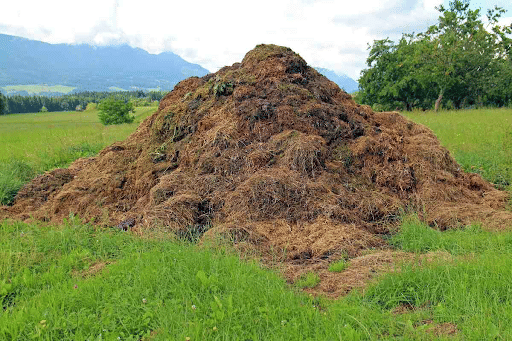 Farm Yard Manure (FYM) - Bulky Organic Manure - Agriculture Notes