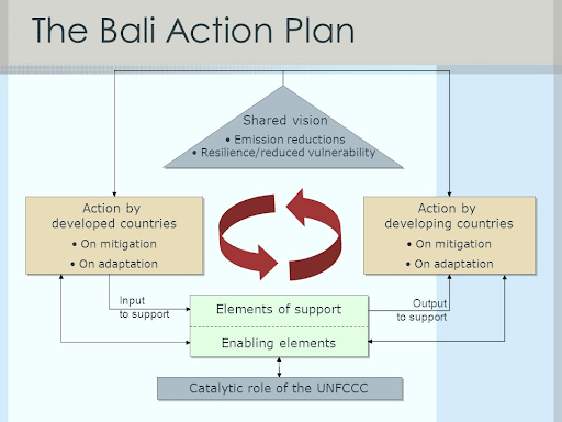 Bali Action Plan - Environment Notes