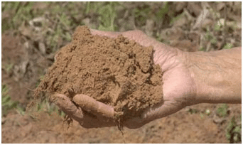 Loam Soil Texture - Agriculture Notes