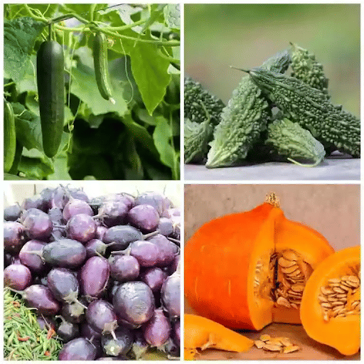 Classification of Crops Based on growing season - Agriculture Notes