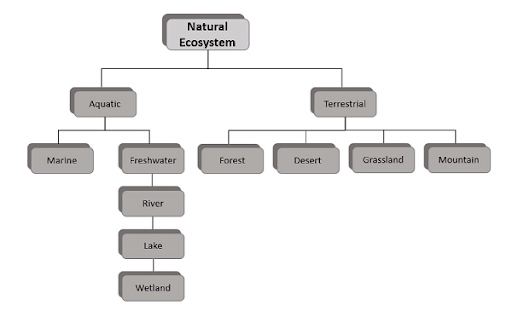 Classification of Ecosystems - Environment Notes