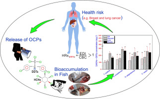 DDT - Toxicology Effects - Environment Notes