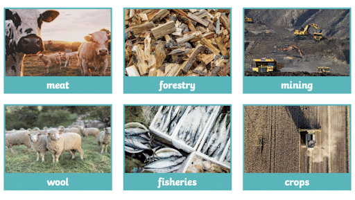 Primary Sector – Indian Economy Notes