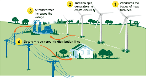 Wind Farm - Environment Notes