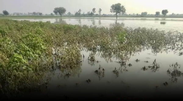 Water Logging - Agriculture Notes