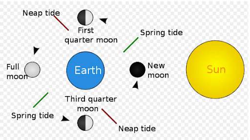 Formation of Tides - Geography Notes