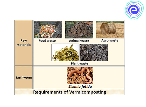 Vermiculture - Environment Notes