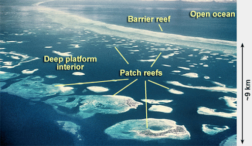 Coral Reefs - Environment Notes