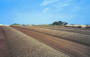 Composting - Environment Notes