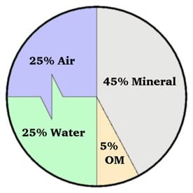 Soil Components - Agriculture Notes