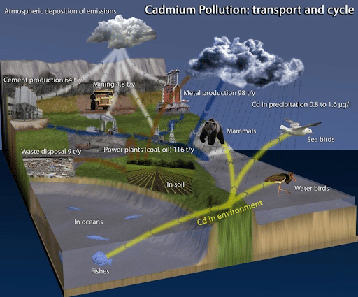 Itai-itai Disease - Environment Notes