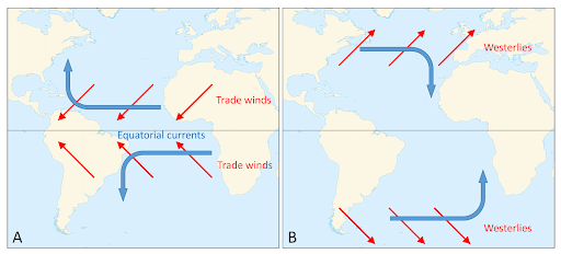 Equatorial Countercurrent - Oceanic Currents - Geography Notes