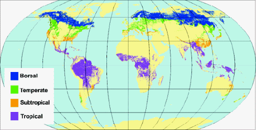 Terrestrial Ecosystem - Environment Notes