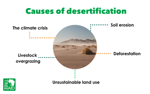 Desertification Causes What Is The Meaning Of Desertification?