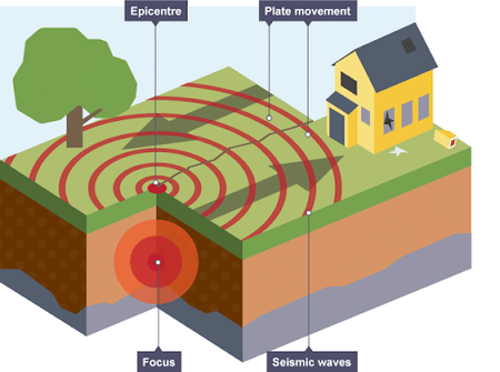 Sudden Movements - Endogenic Movements - Geography Notes