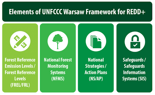 Reducing Emissions from Deforestation and Forest Degradation (REDD+ ...