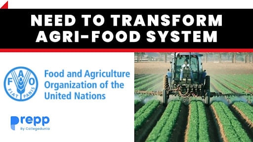 Need to Transform Agri-Food System