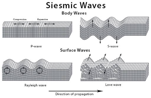 Body Waves - Seismic Activity - Geography Notes