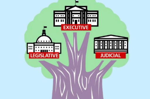 The Bureaucracy As Prosecutor And Judge