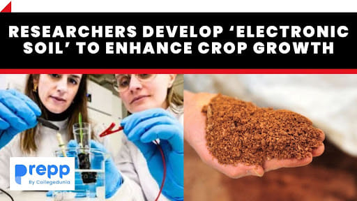 Researchers Develop ‘Electronic Soil’ to Enhance Crop Growth