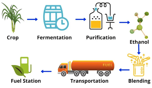 Food Versus Fuel: What’s Happening With Centre’s Ethanol Blending Scheme