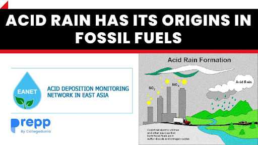 Acid Rain Has Its Origins In Fossil Fuels