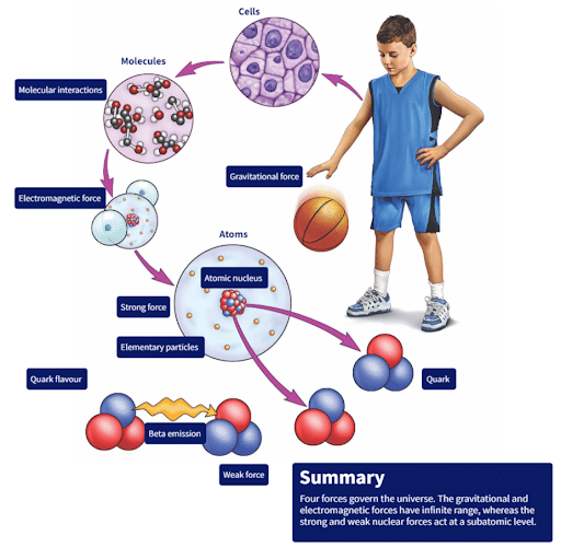 strong force examples