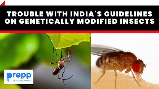 Trouble With India's Guidelines on Genetically Modified Insects