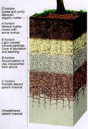 Soil Formation Processes - Geography notes