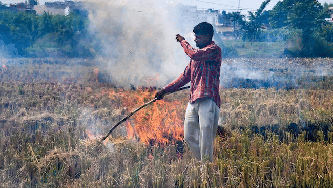 How To Solve The Problem Of Stubble Burning