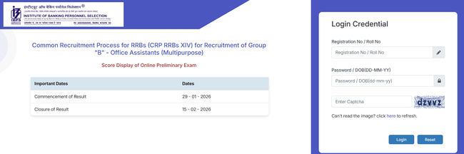 IBPS RRB Clerk Prelims 2025-26 Scorecard Out, Download Mains Admit Card