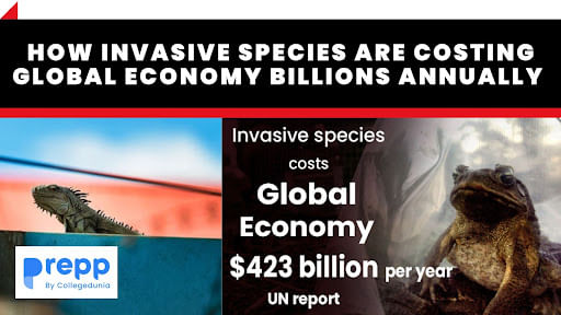 How Invasive Species Are Costing Global Economy Billions Annually