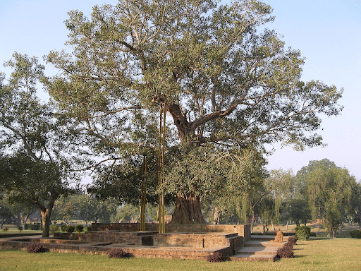 Buddhist Temple - Sravasti (Uttar Pradesh) - Art and Culture Notes