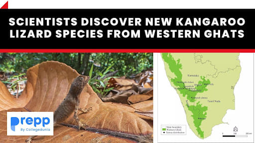 Scientists Discover New Kangaroo Lizard Species From Western Ghats